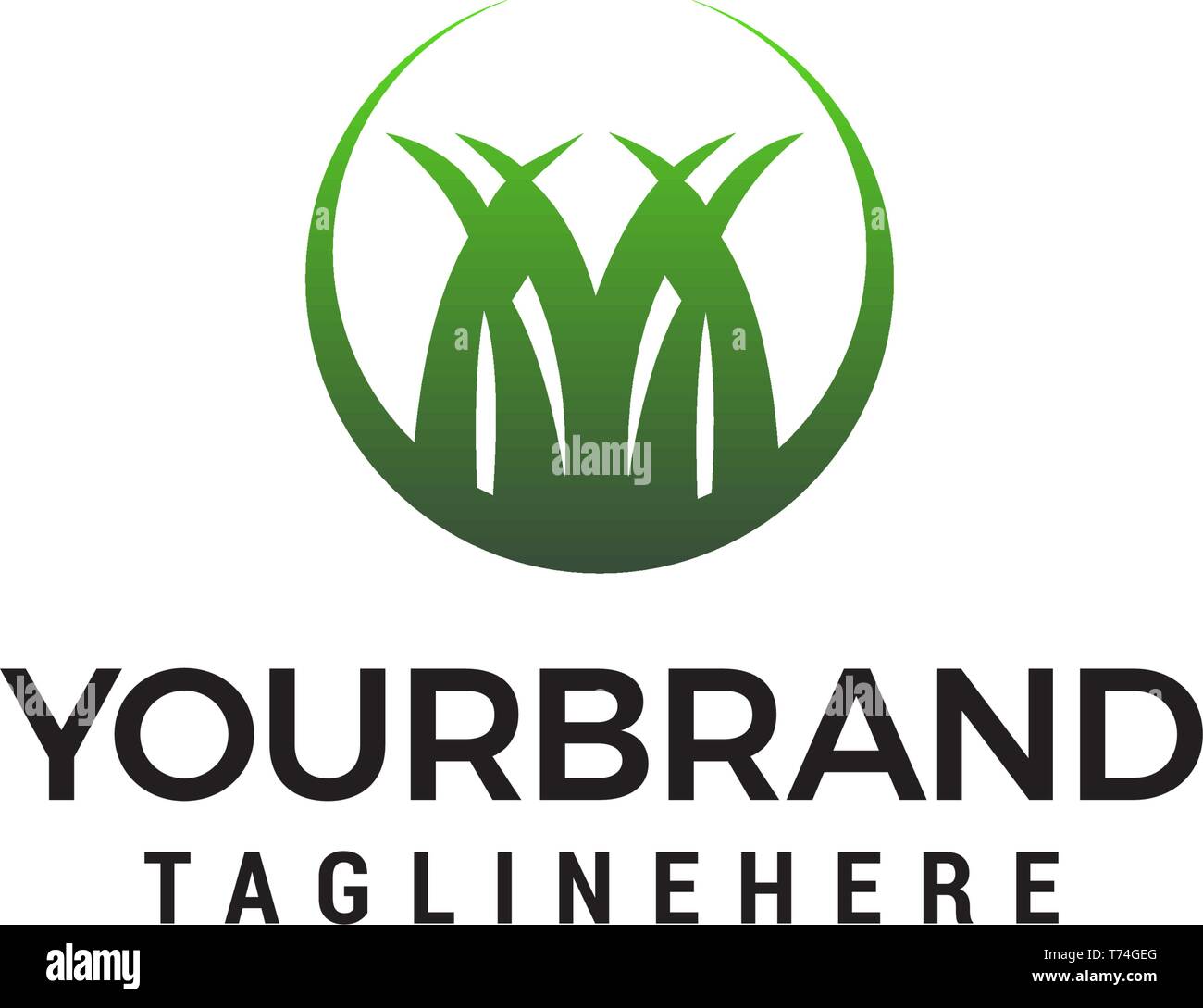 Grass vector vectors hi-res stock photography and images - Alamy