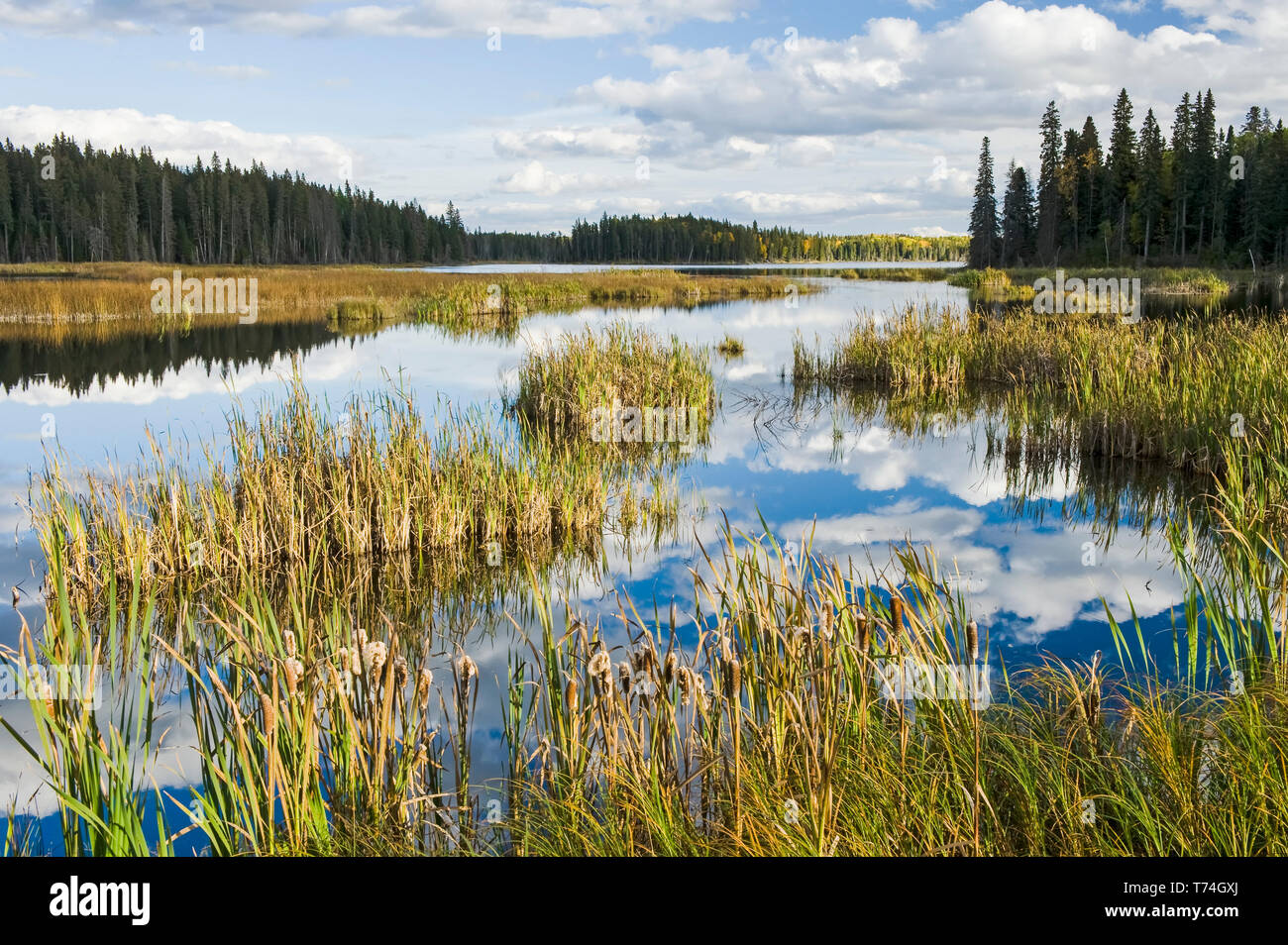 Manitoba Landscape Mountain