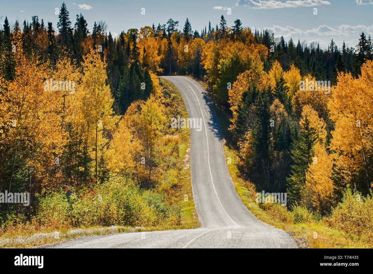 Rural ontario winding roads hi-res stock photography and images - Alamy