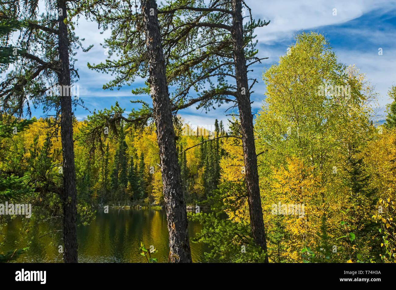 Saskatchewan shoreline hi-res stock photography and images - Alamy