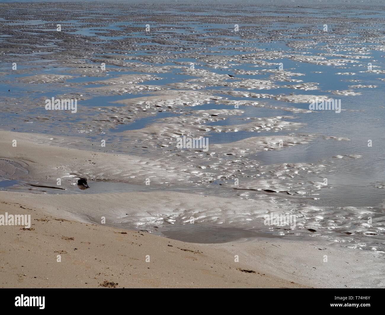 Dappled water patterns hi-res stock photography and images - Alamy