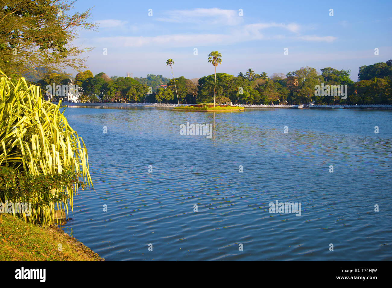 Sunny morning on the city lake. Kandy, Sri Lanka Stock Photo - Alamy