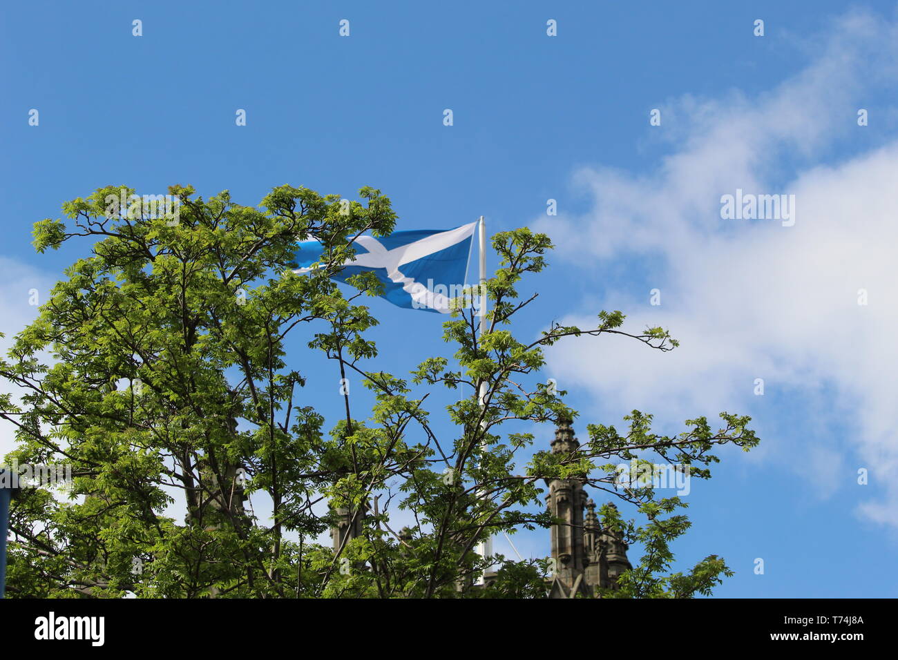 Scottish Saltire Flag Stock Photo - Alamy