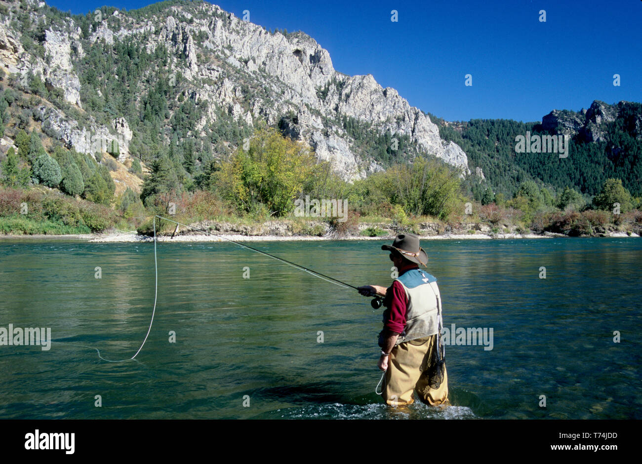 South fork and idaho and snake hi-res stock photography and images - Alamy