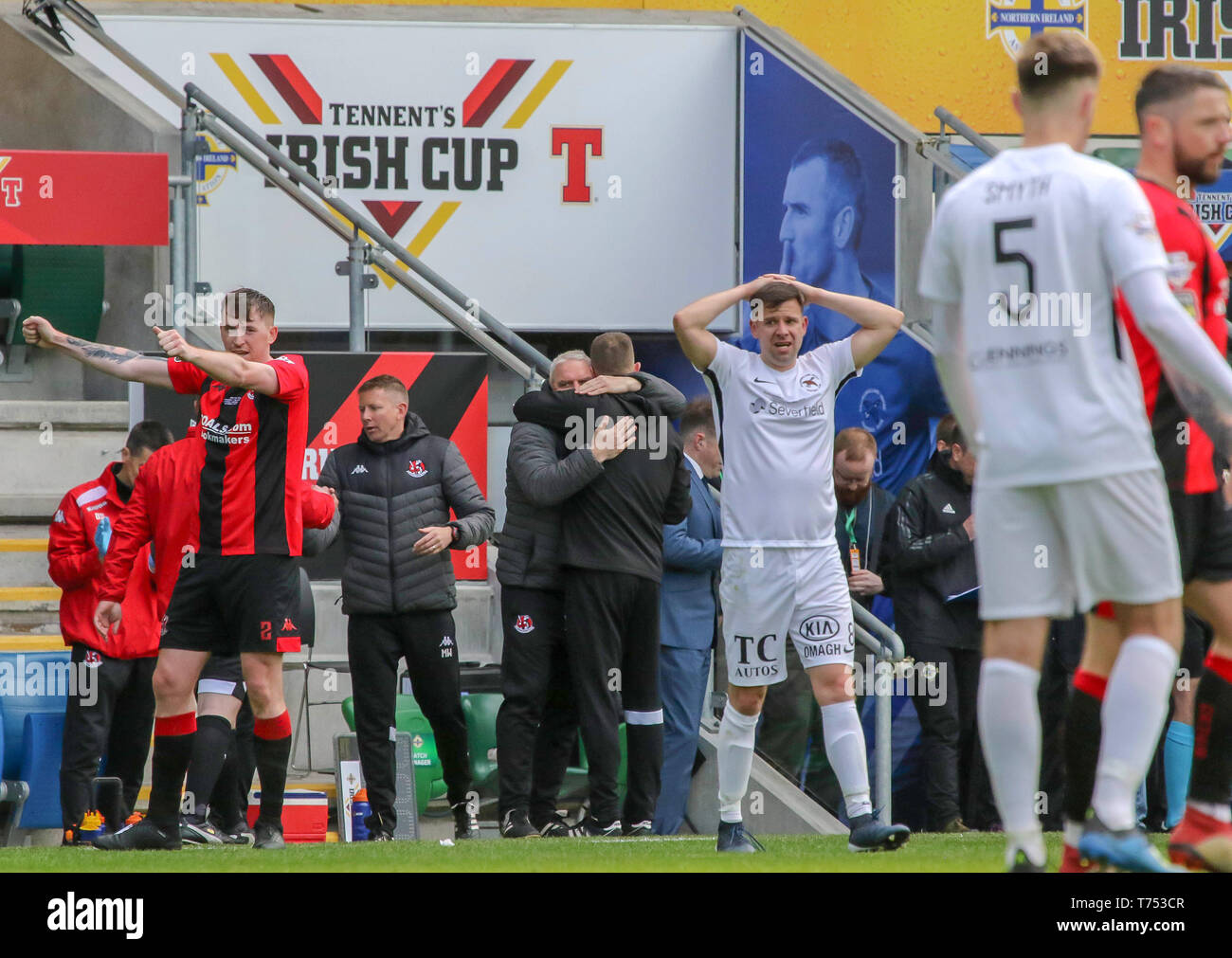 National Football Stadium at Windsor Park, Belfast, Northern, Ireland ...