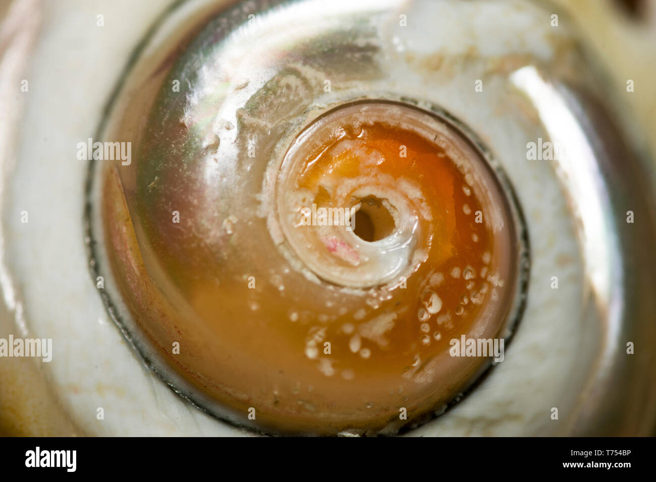Seashell curves hi-res stock photography and images - Alamy