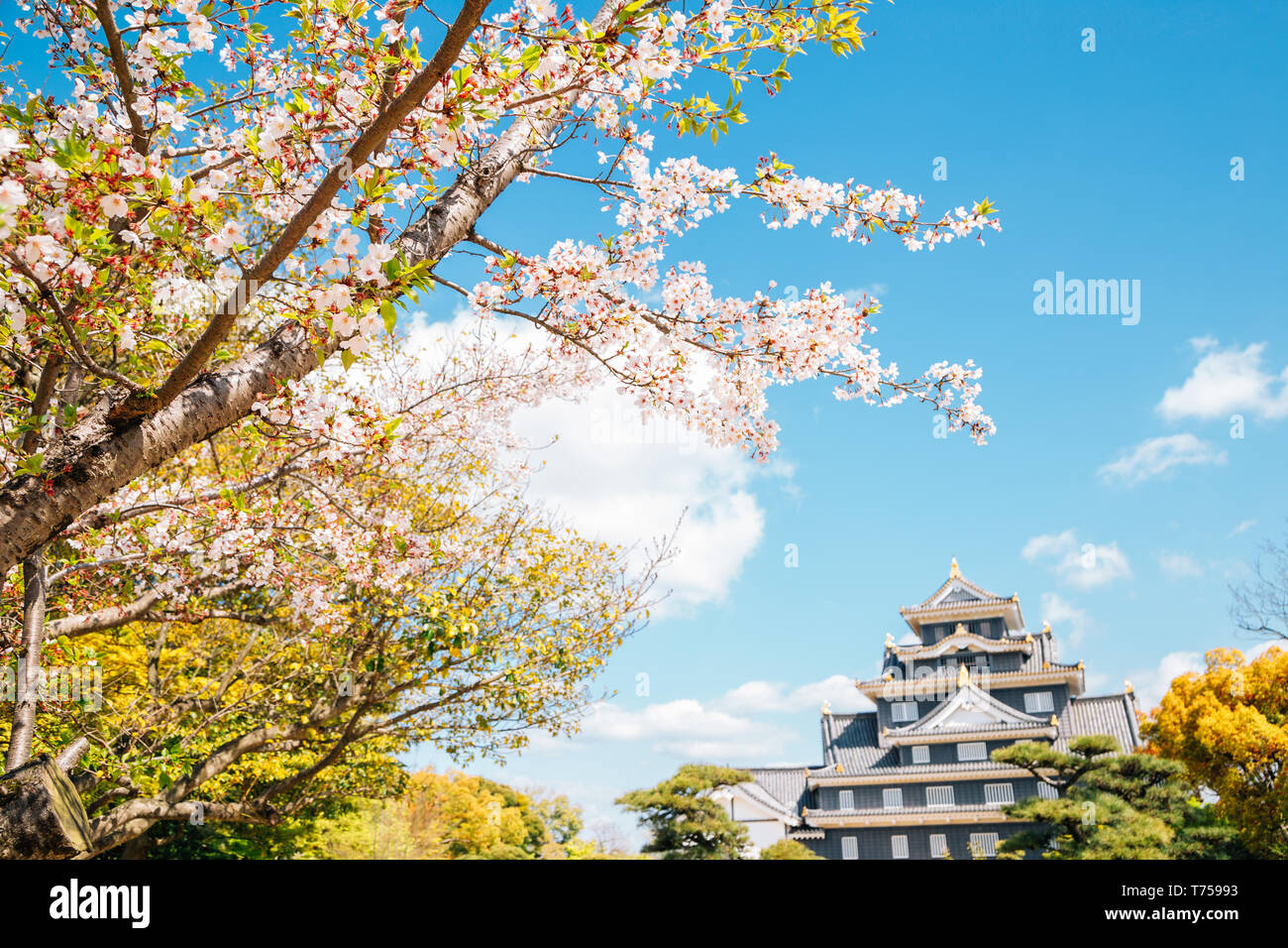 Okayama castle in okayama prefecture hi-res stock photography and ...