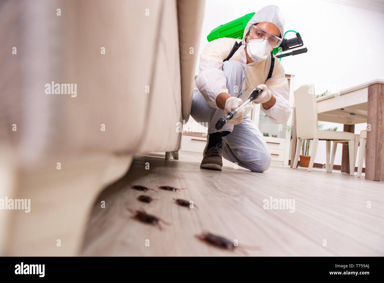 Pest control contractor working in the flat Stock Photo - Alamy