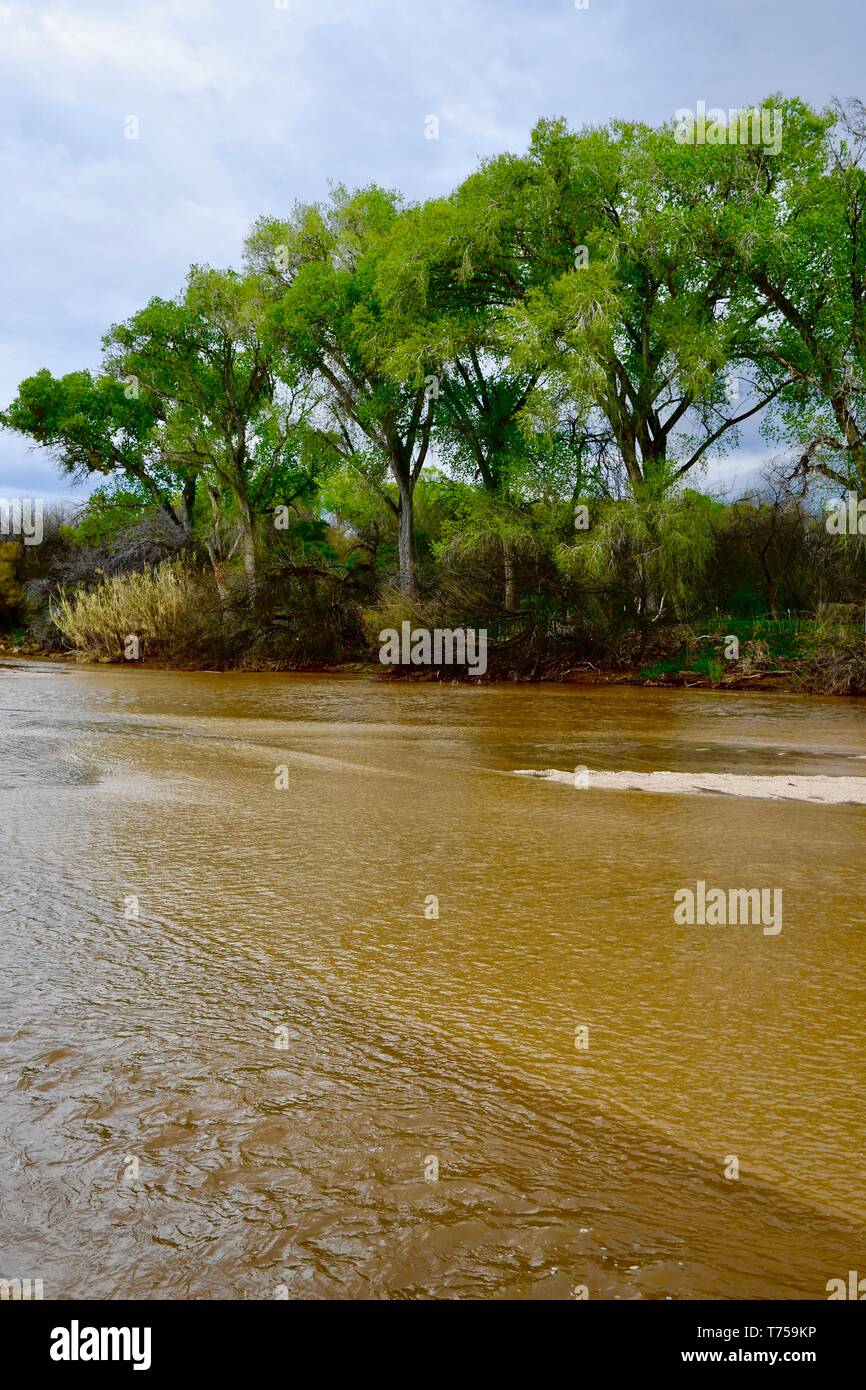 Tanque Verde Wash seen after winter rain Stock Photo - Alamy