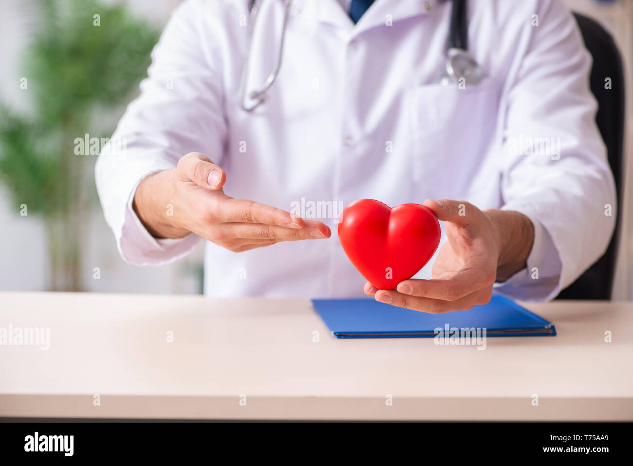 Male doctor cardiologist holding heart model Stock Photo - Alamy