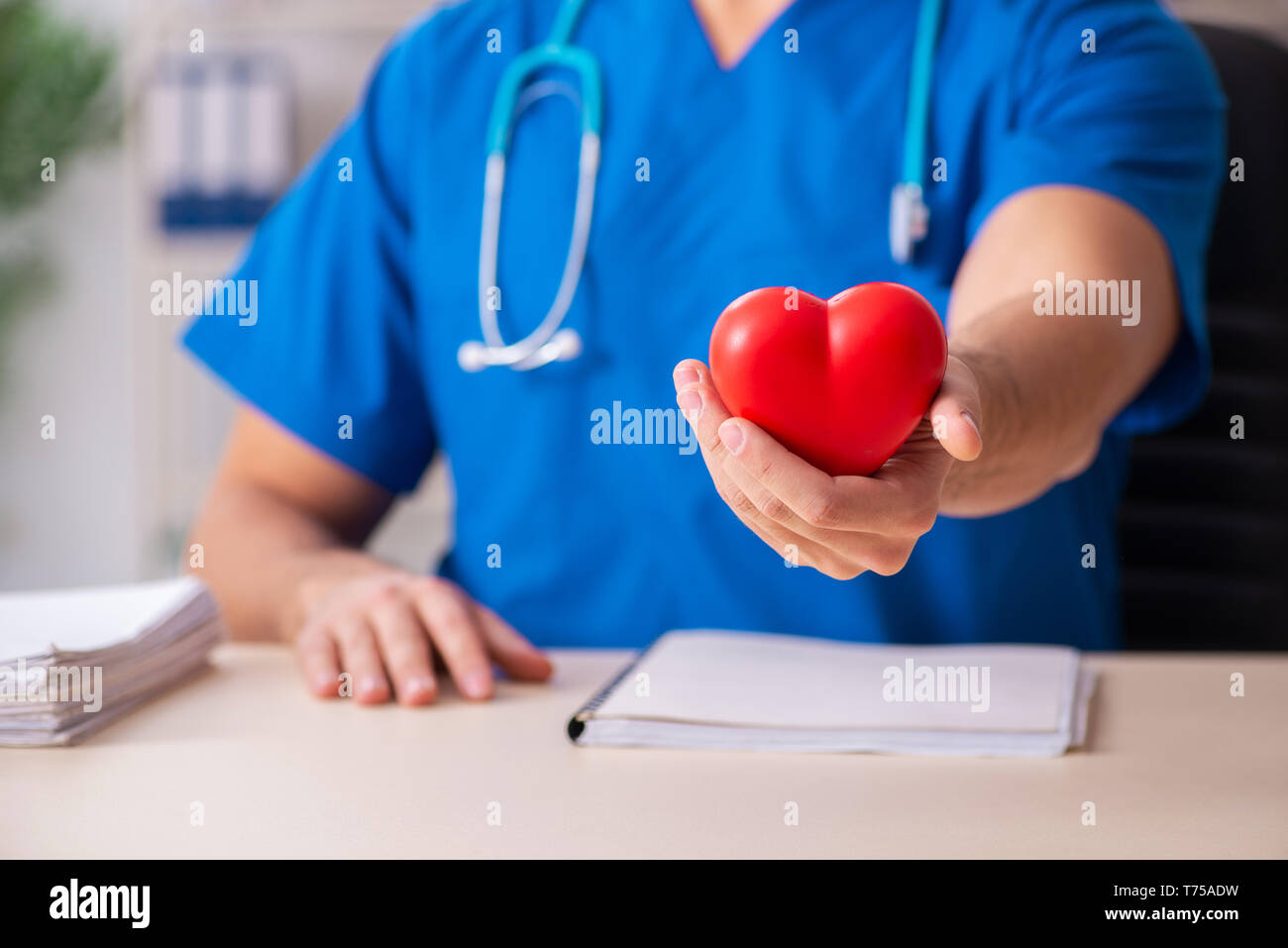 Male doctor cardiologist holding heart model Stock Photo - Alamy