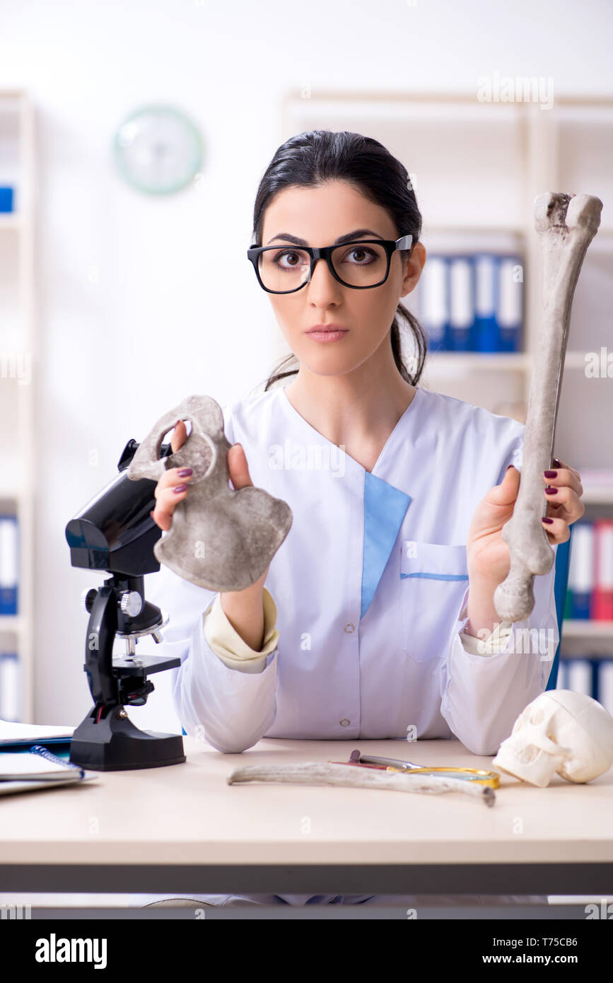 Young female archaeologist working in the lab Stock Photo - Alamy