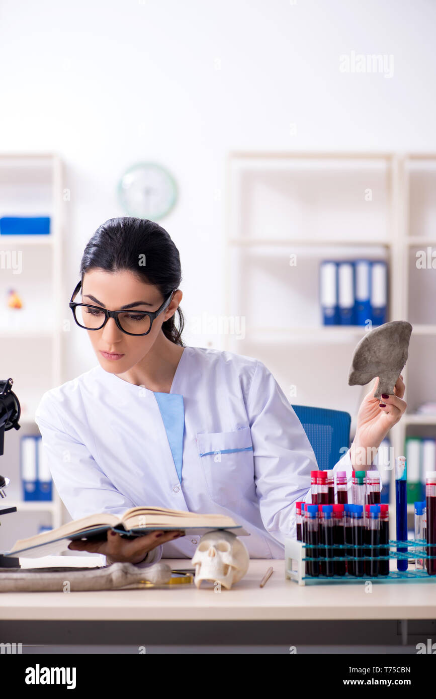 Young female archaeologist working in the lab Stock Photo - Alamy