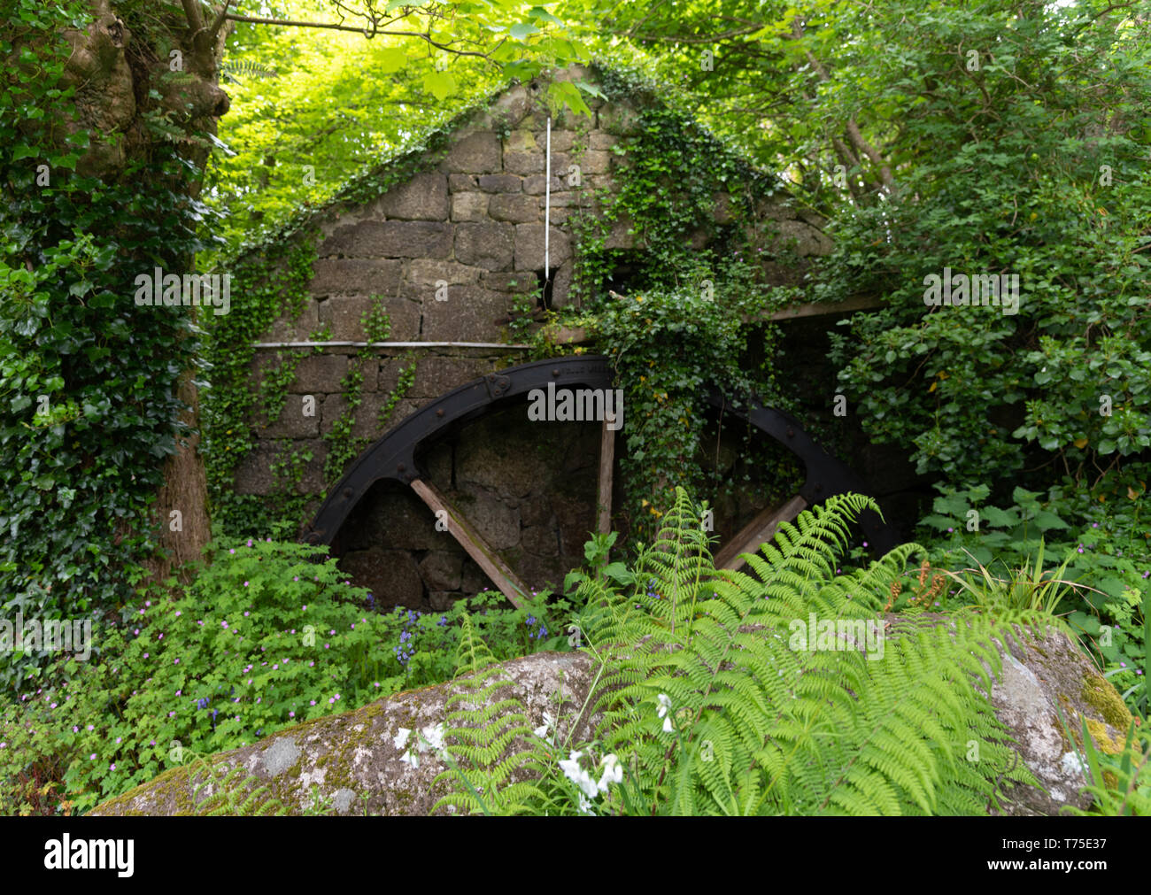 Cornish watermill hi-res stock photography and images - Alamy