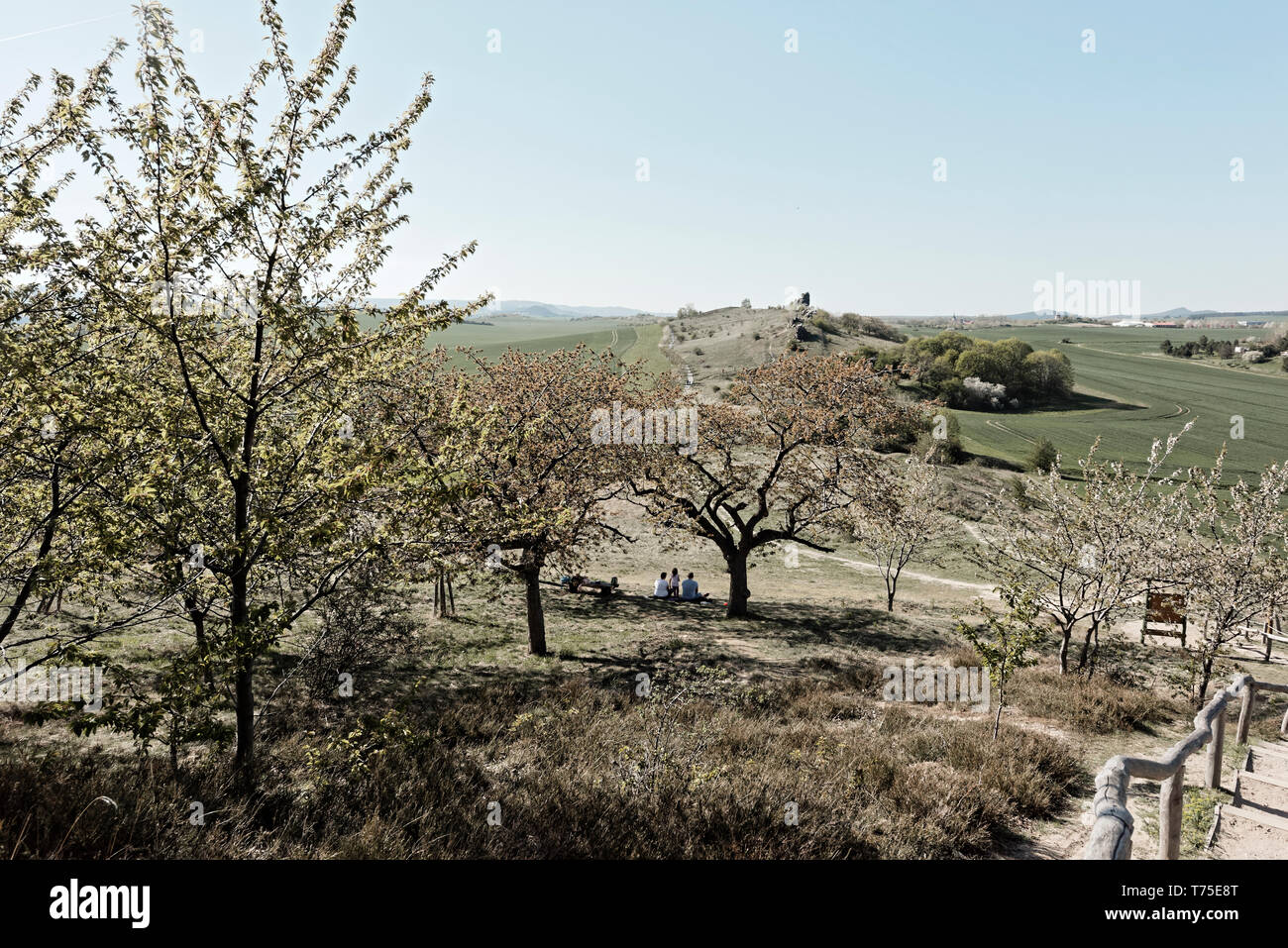 Devil's Wall at Weddersleben,Thale,Harz,Germany Stock Photo - Alamy