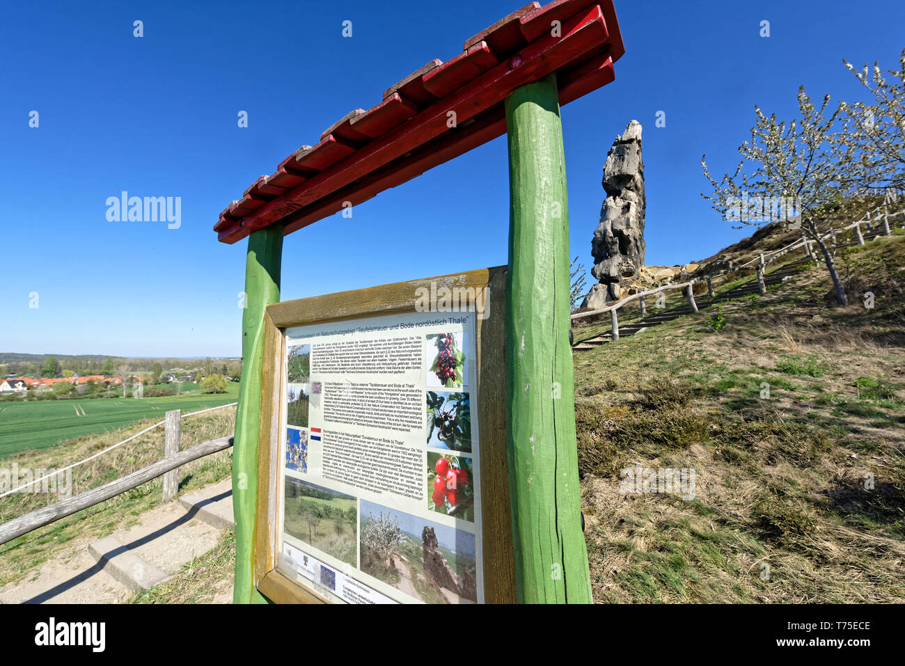 Devil's Wall at Weddersleben,Thale,Harz,Germany Stock Photo - Alamy
