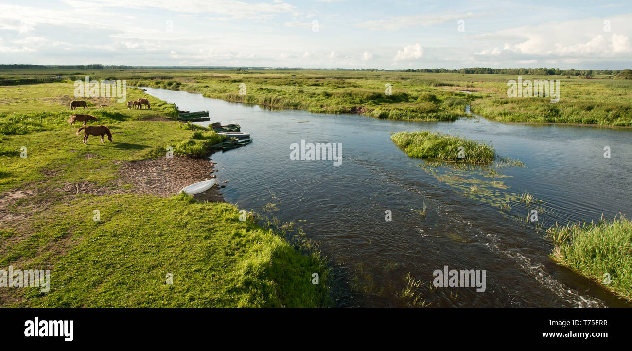 Narew river in national hi-res stock photography and images - Alamy