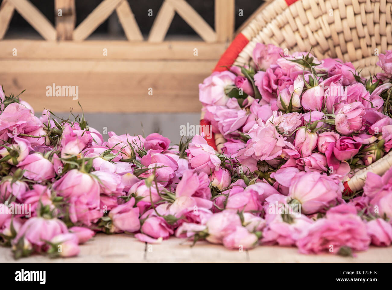 Iran basket hi-res stock photography and images - Alamy
