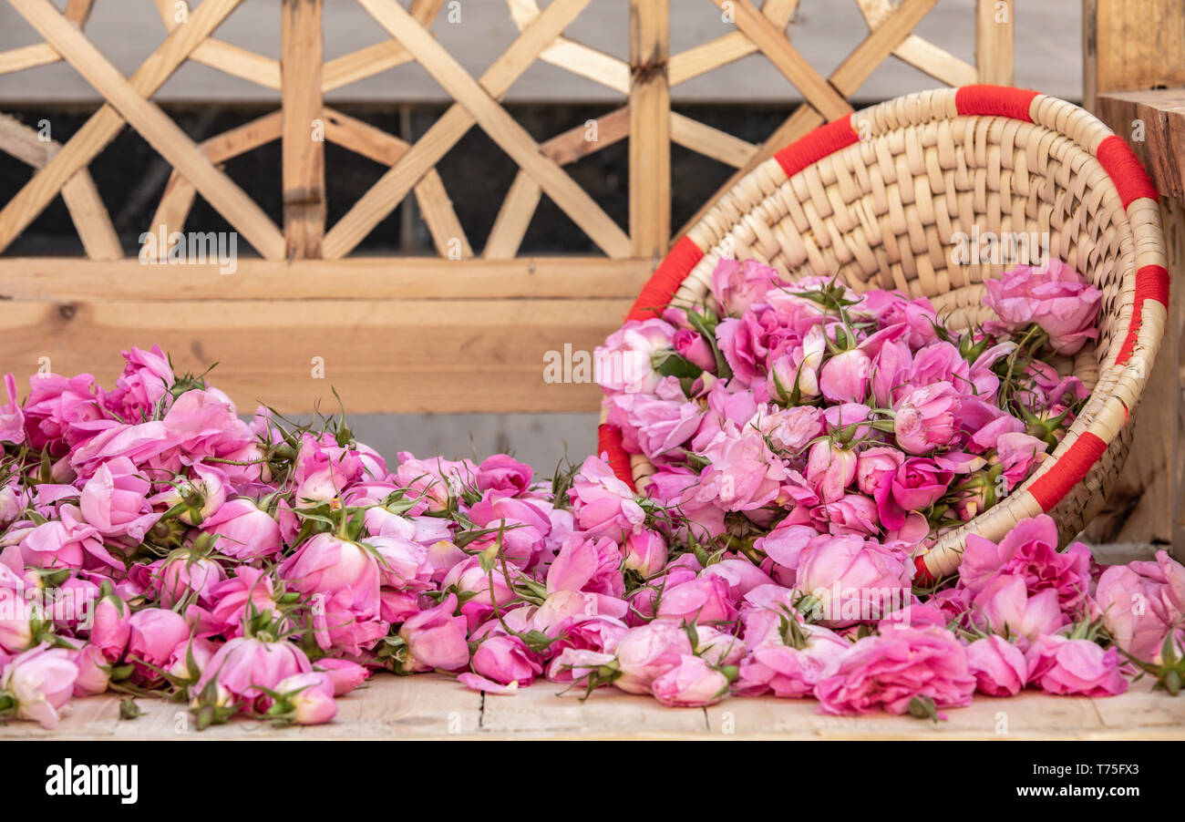 Iran basket hi-res stock photography and images - Alamy