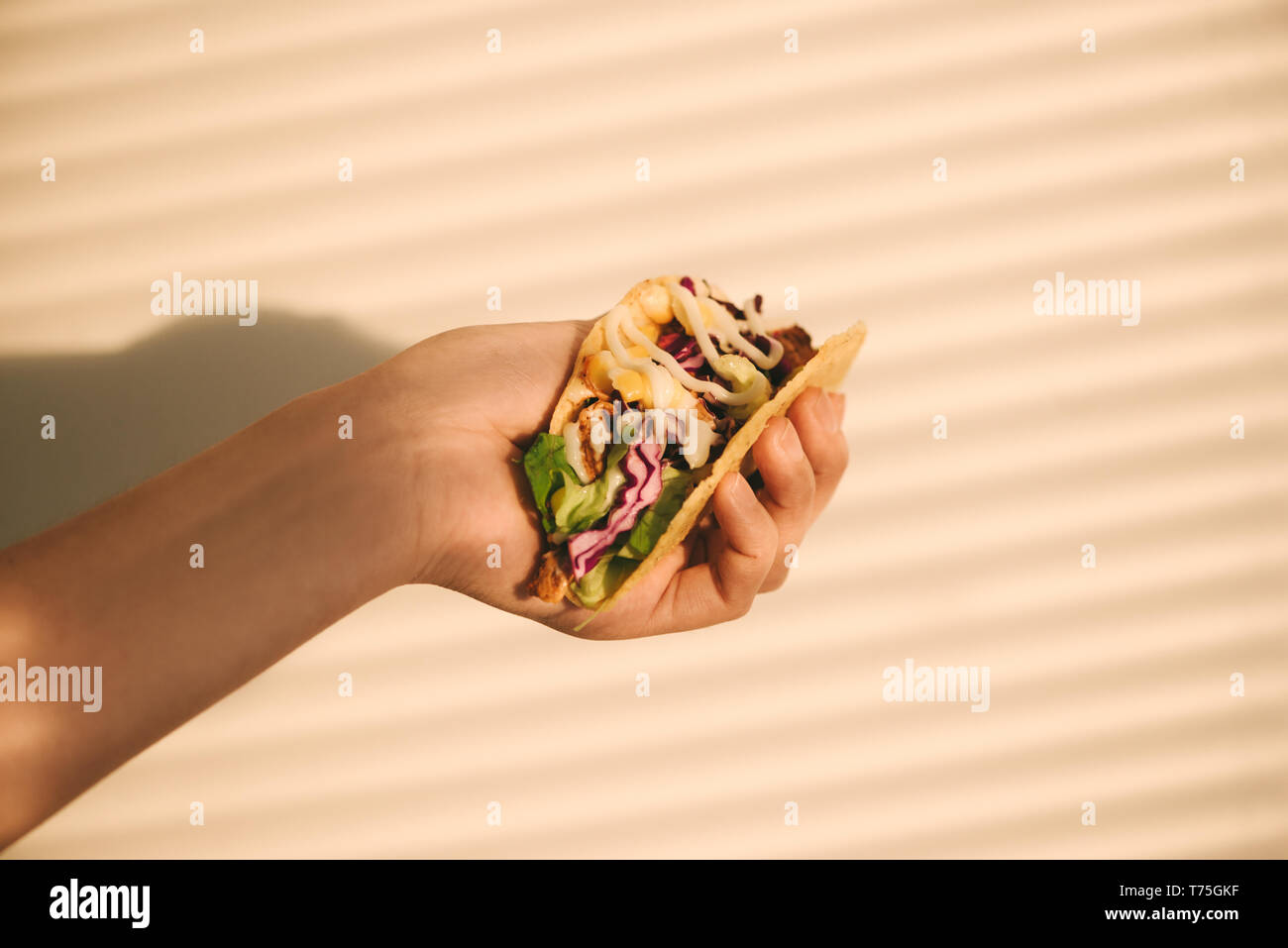 Traditional mexican taco with meat and vegetables. Latin american food ...