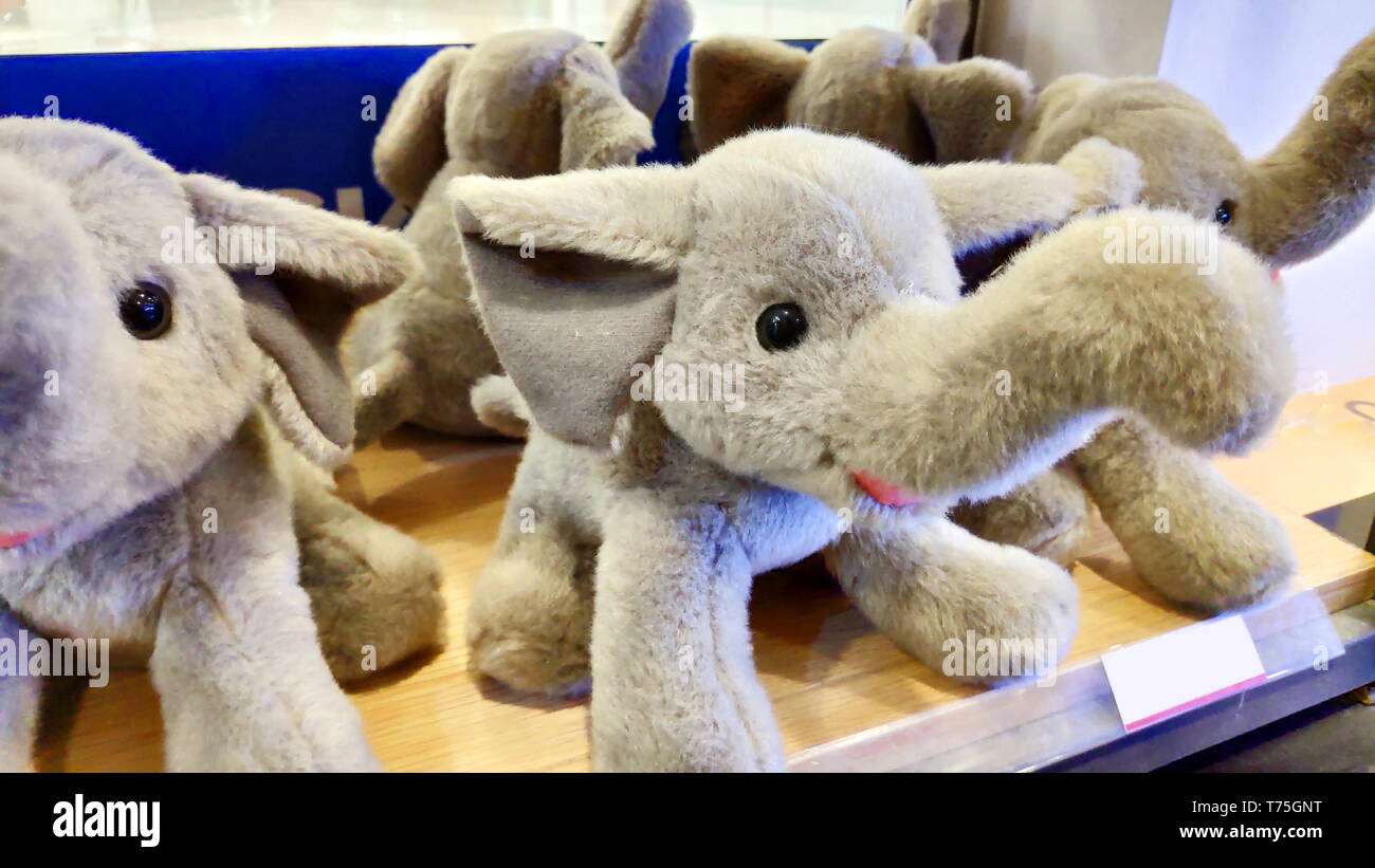 Beautiful cute grey elephants stuff animal on shelf with long snout ...
