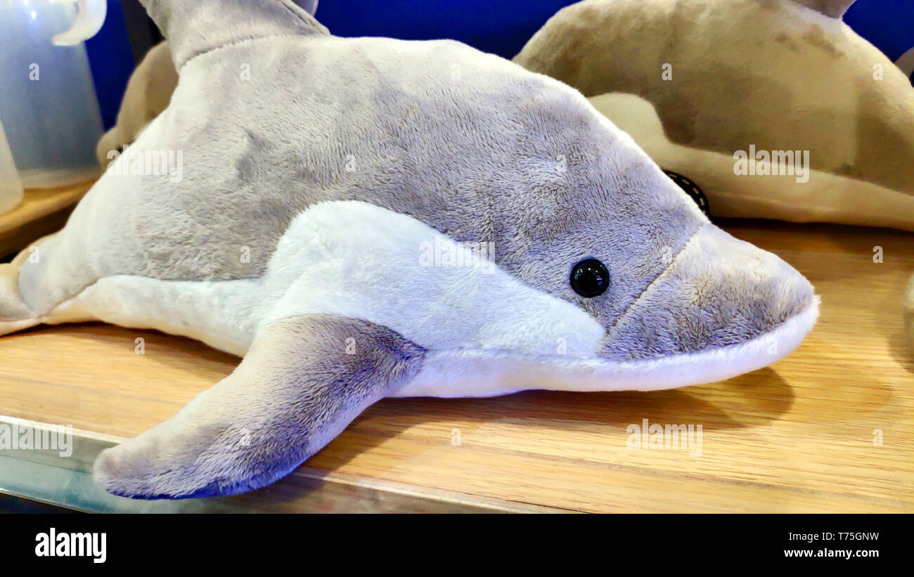 Happy birthday dolphin hi-res stock photography and images - Alamy