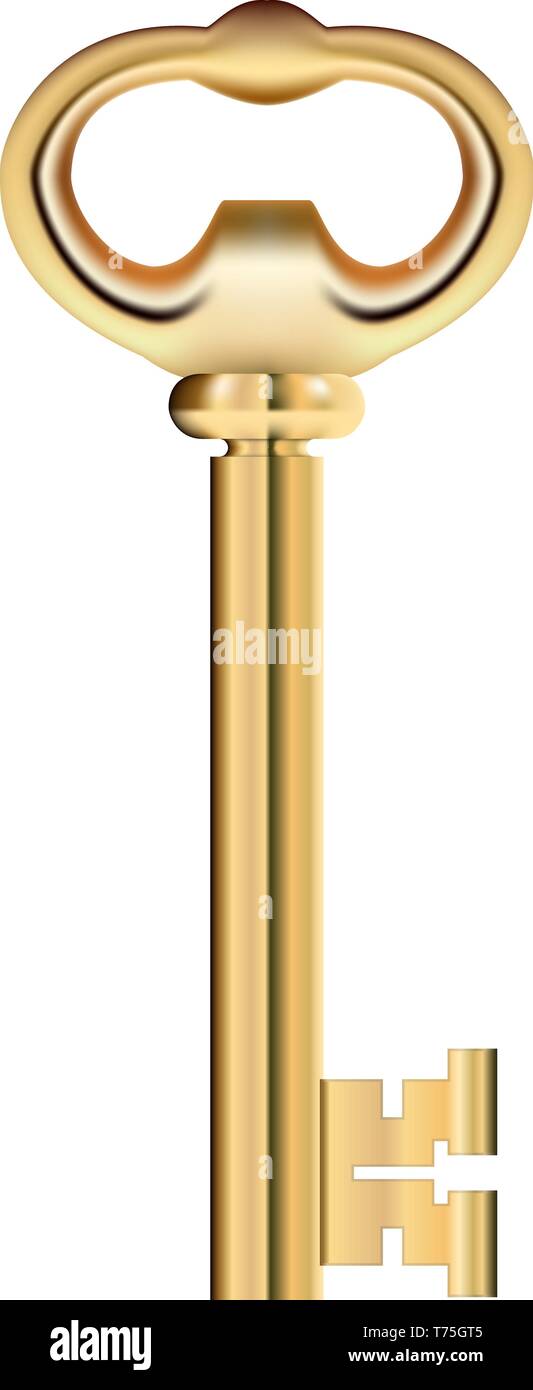 Golden Key isolated on white Background. Vector Stock Vector Image ...