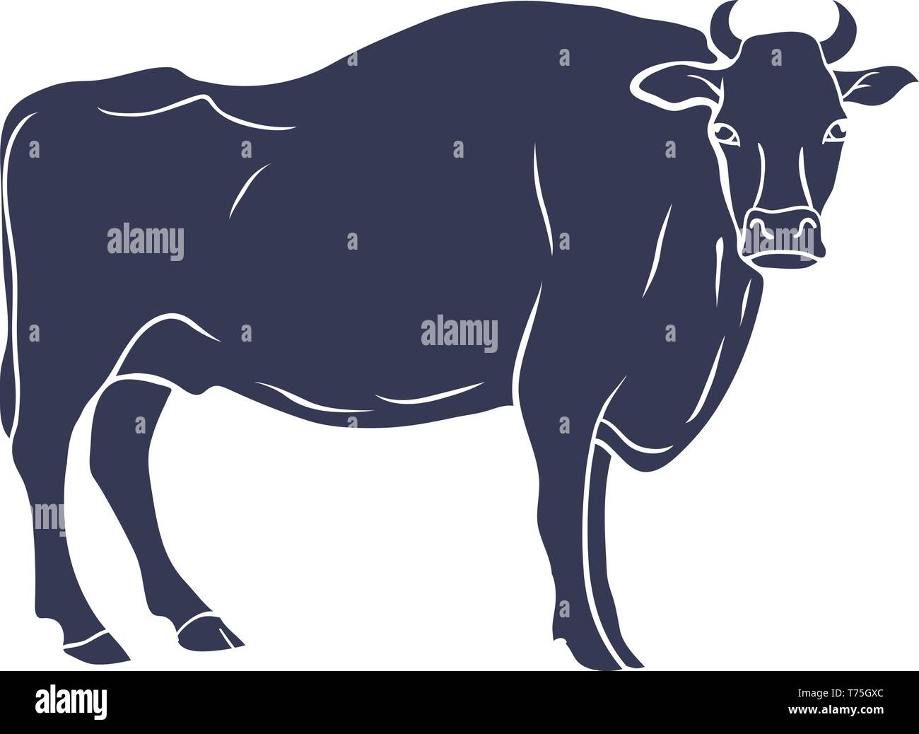 Hand Drawn Bull Illustration isolated on White Background. Vector Stock ...