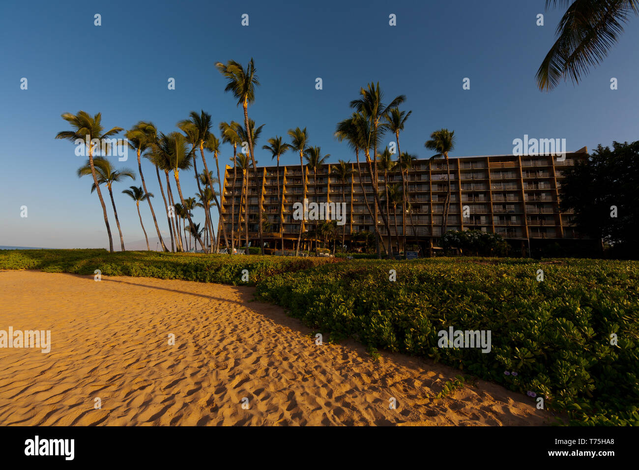 Located on the south western shore of Maui the Mana Kai Maui Resort is ...