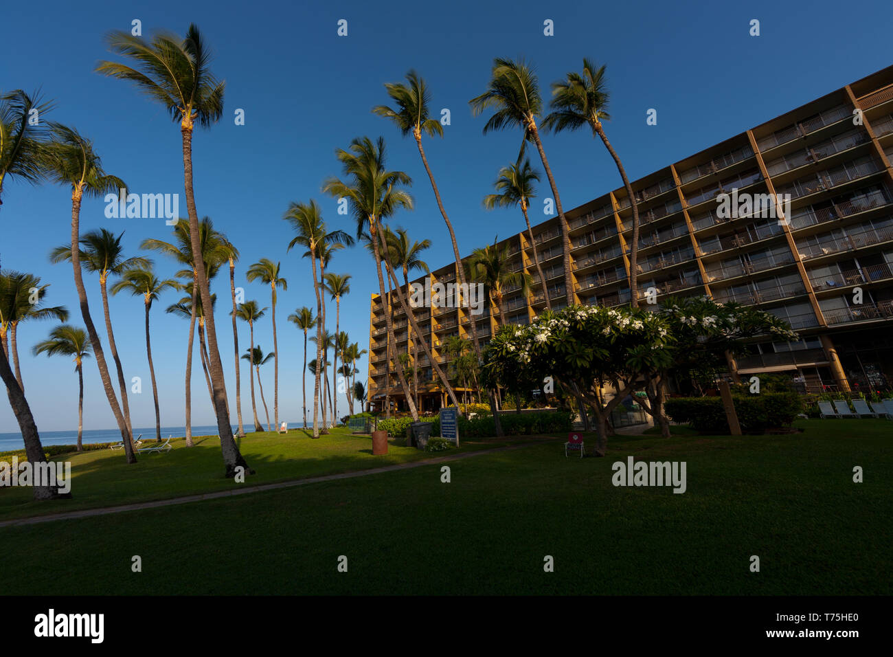 Located on the south western shore of Maui the Mana Kai Maui Resort is ...