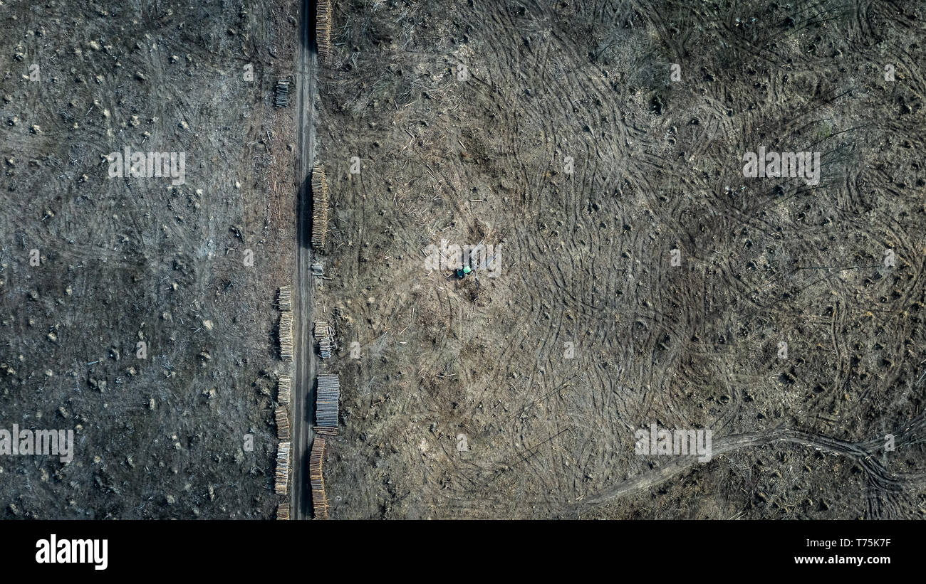 Aerial view of shocking deforestation, destroyed forest in Europe Stock ...