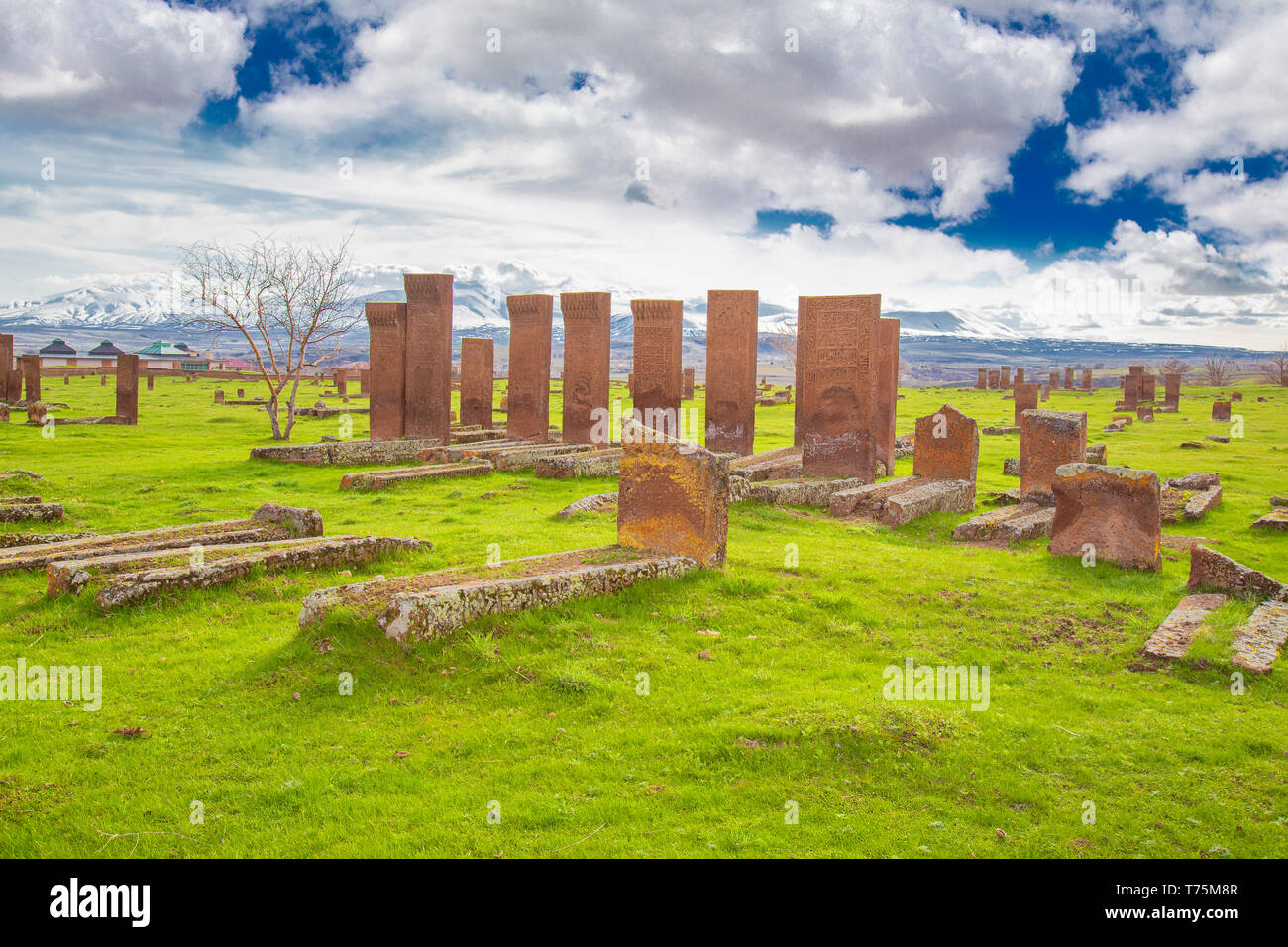 Ancient Turkish Cemetery and Gravestones Stock Photo - Alamy
