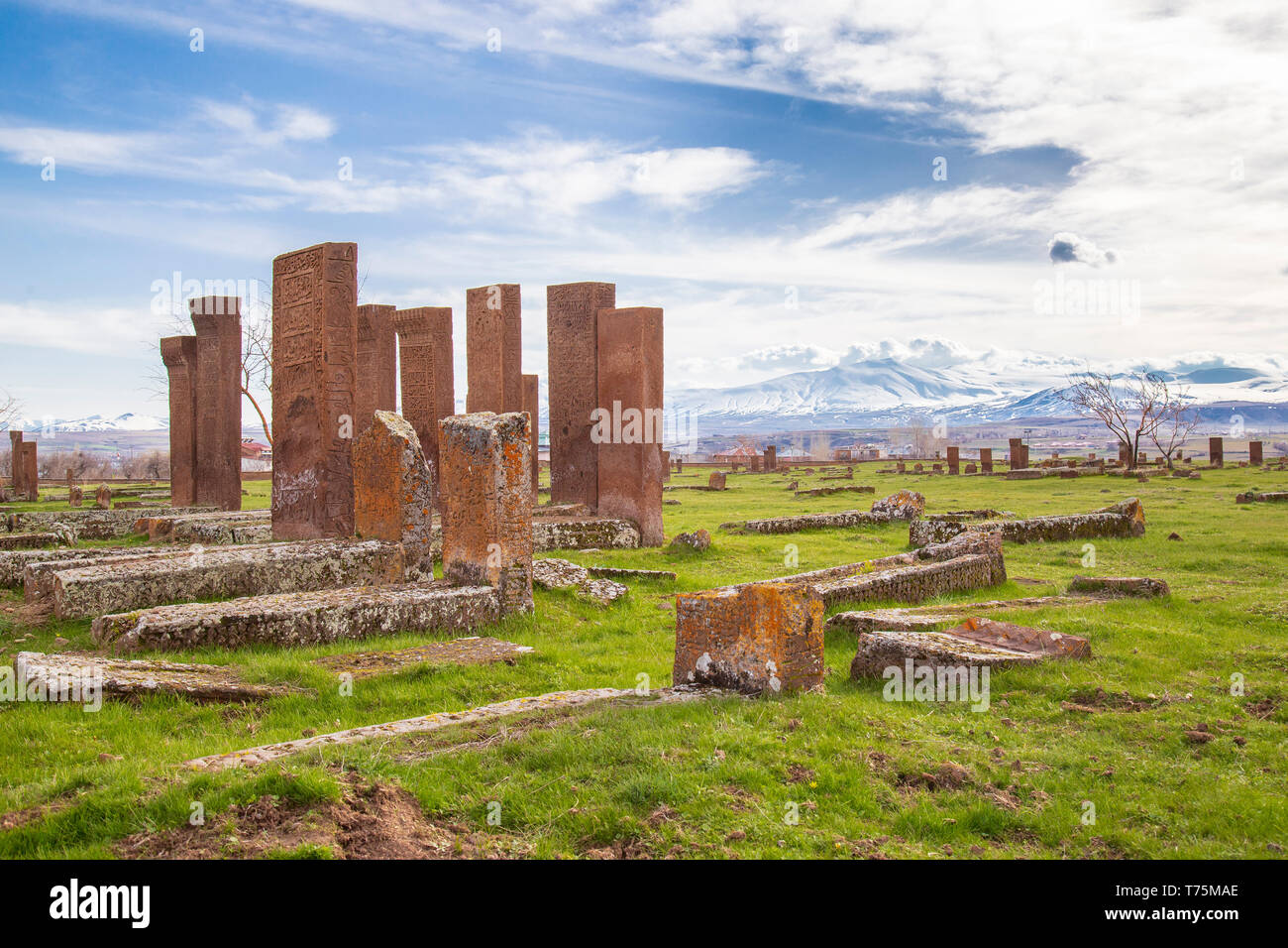 Ancient Turkish Cemetery and Gravestones Stock Photo - Alamy