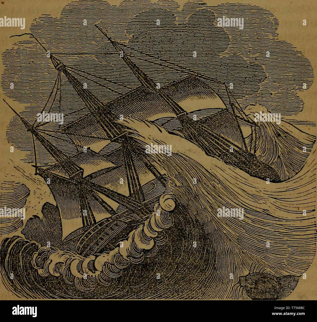 History of the buccaneers hi-res stock photography and images - Alamy