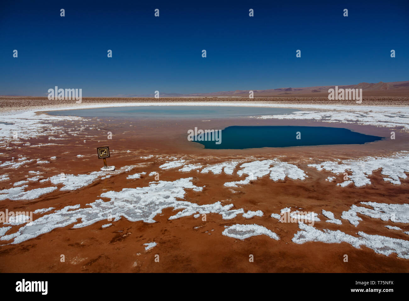 Lagoons of atacama hi-res stock photography and images - Alamy