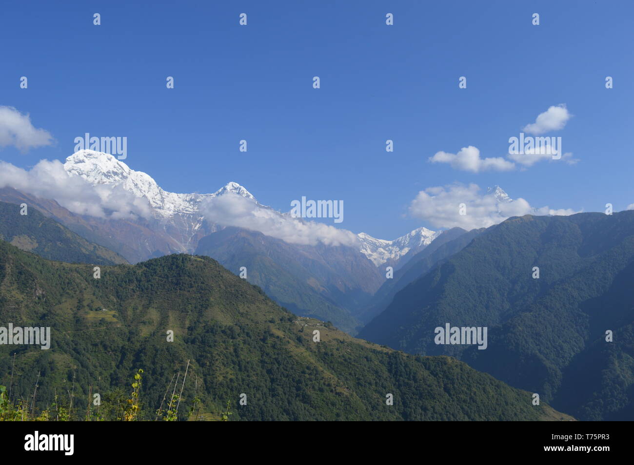 Visit nepal 2020 hi-res stock photography and images - Alamy