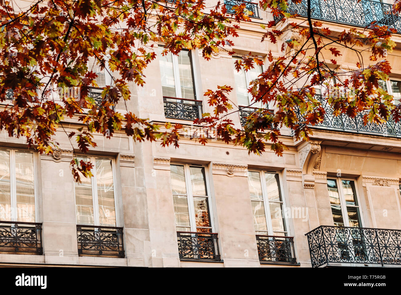 View from below on a facade European building in Paris, France ...