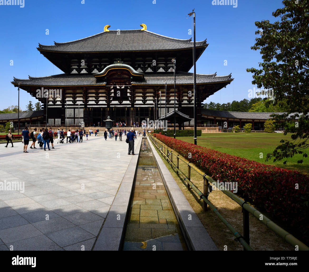Todaiji Temple Nara Japan Stock Photo - Alamy