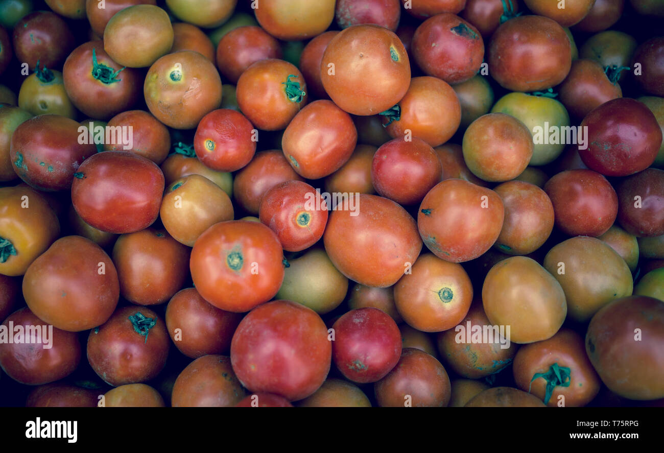 A bunch of organic local tomatoes Stock Photo - Alamy