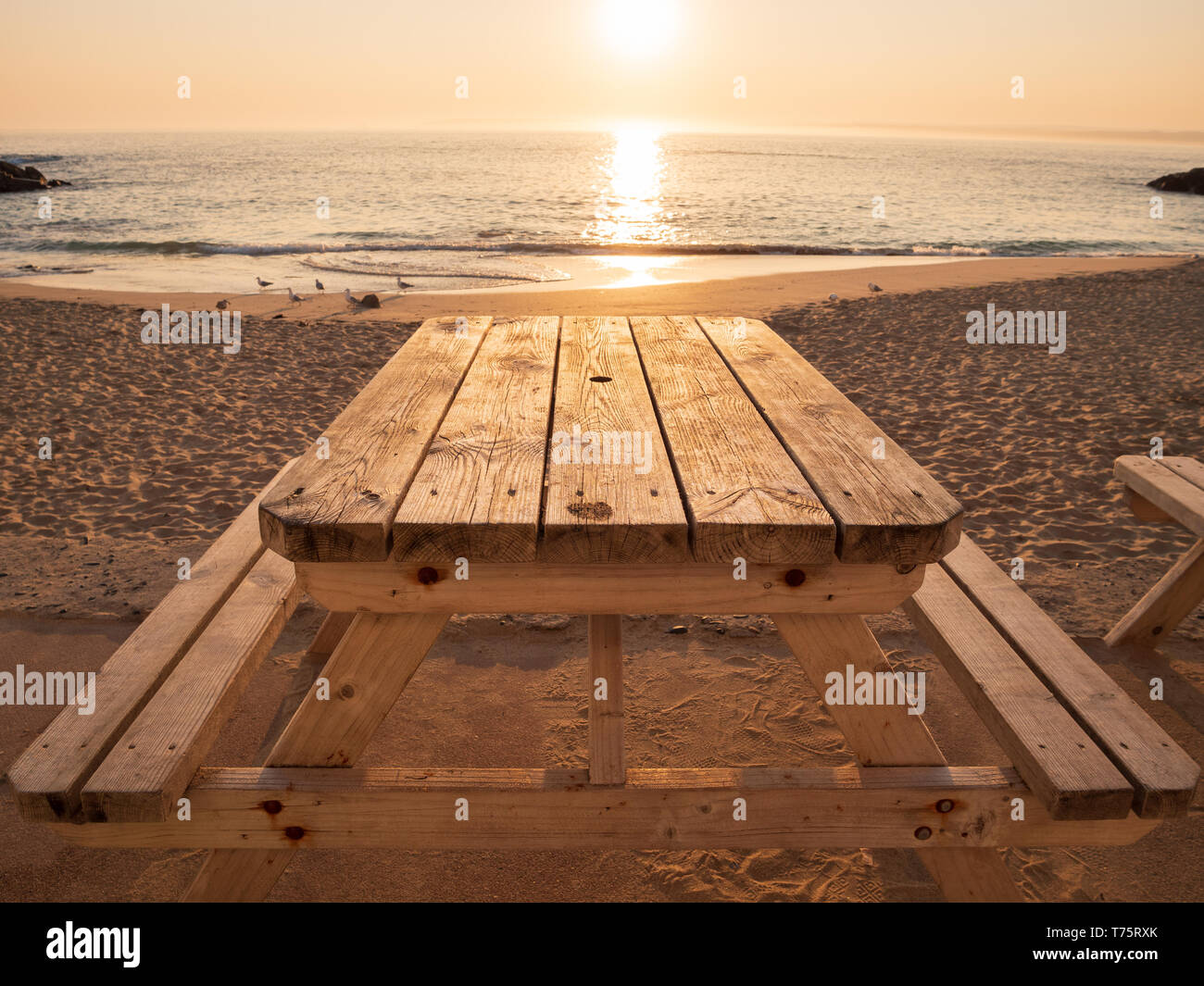 Bench on the Beach Stock Photo - Alamy