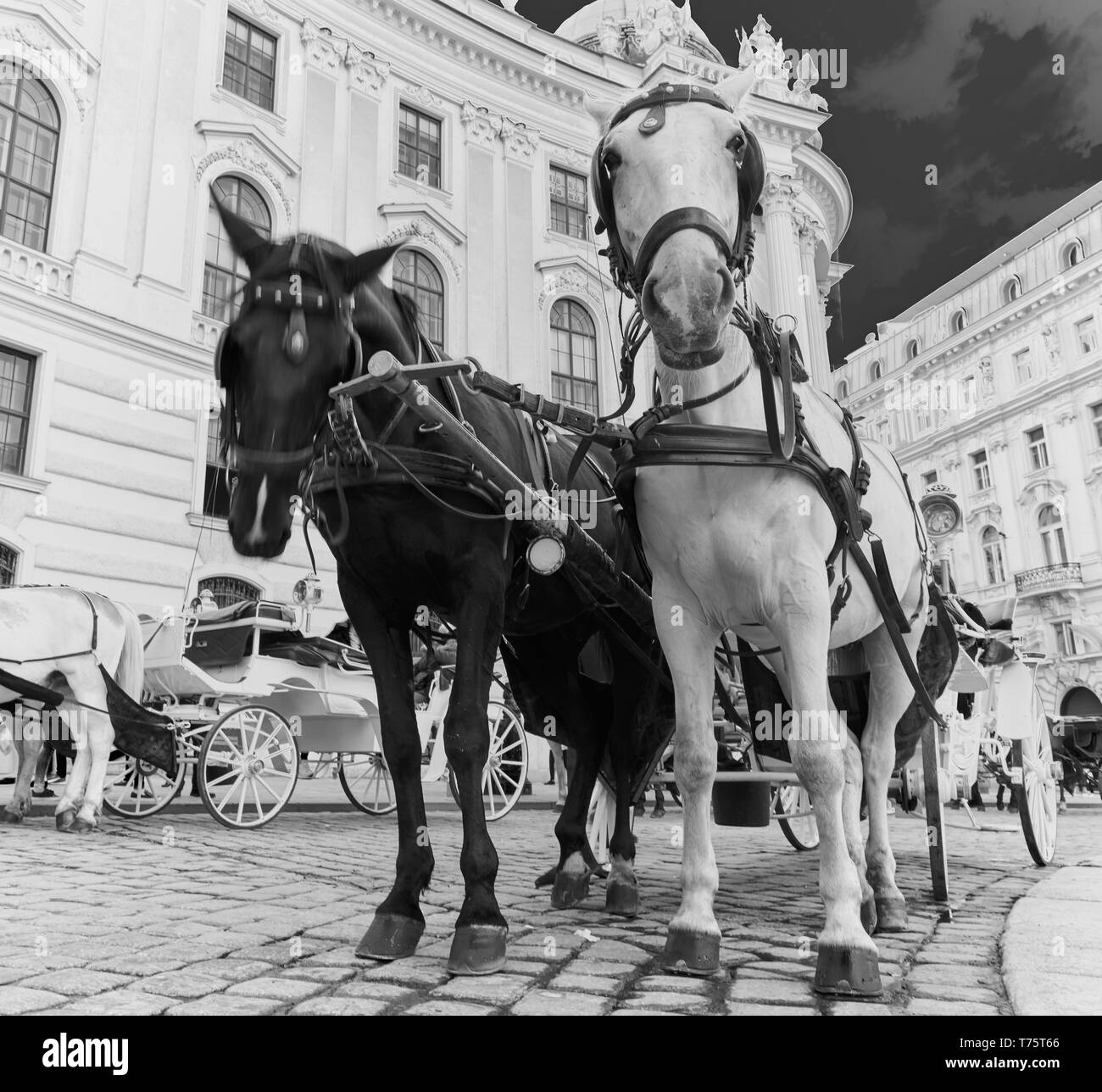 Austria road Black and White Stock Photos & Images - Alamy