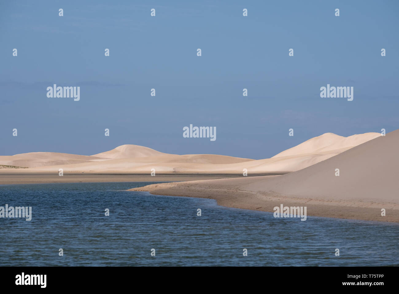 The Alexandria coastal dune fields with the sea in the distance, near ...