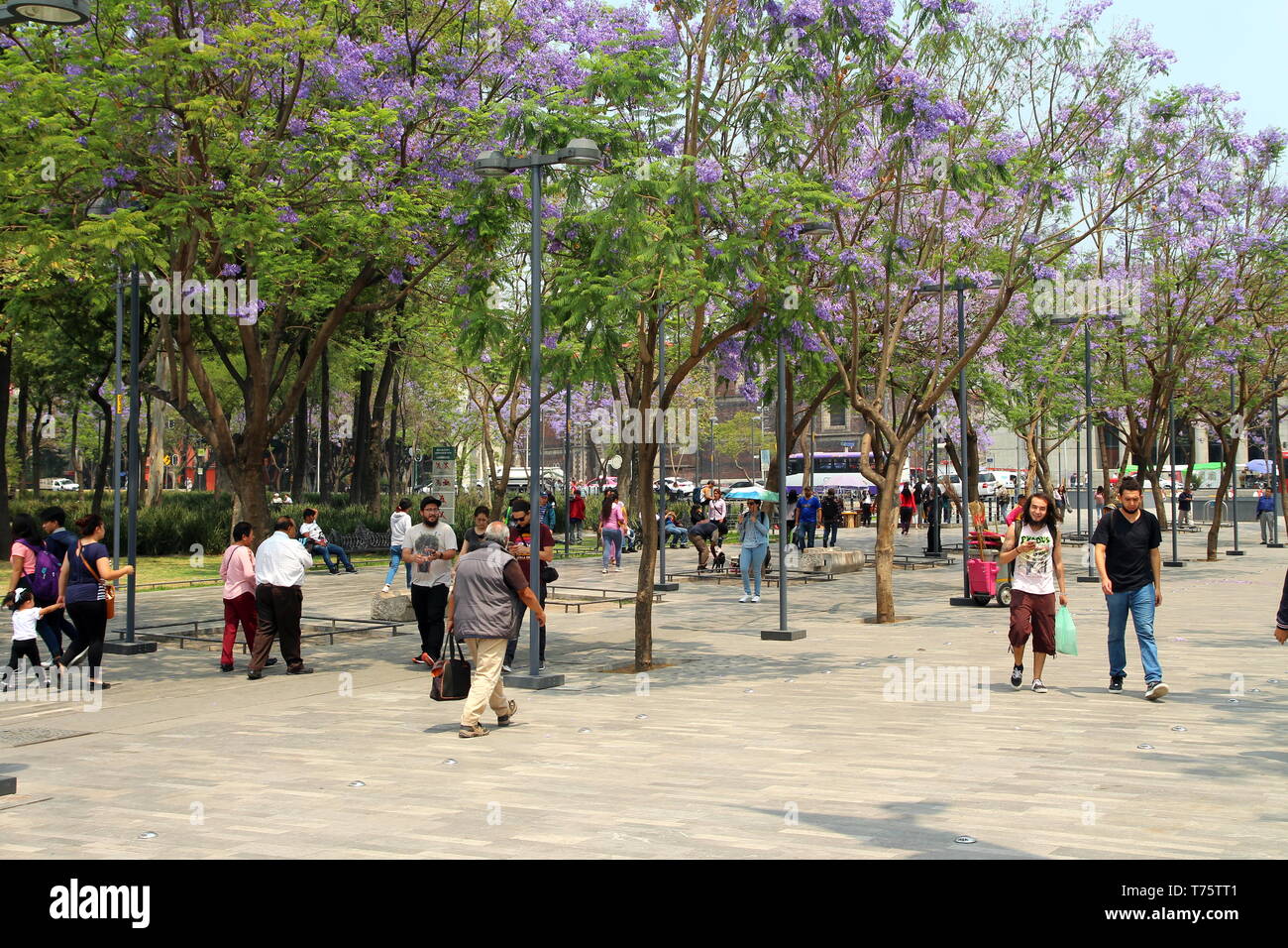 Alameda central park in Mexico city Stock Photo - Alamy