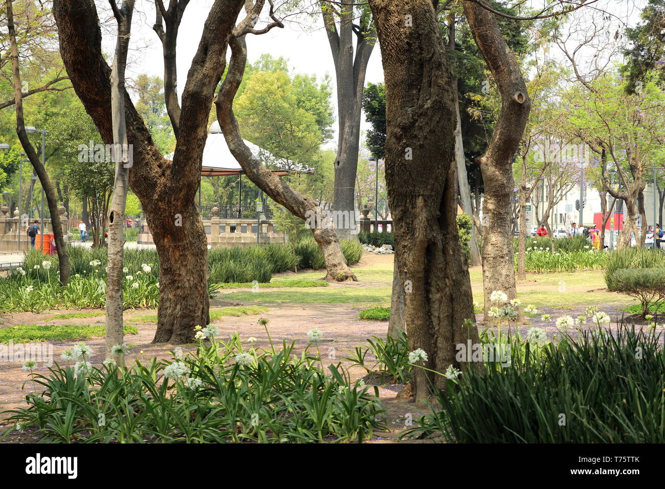 Alameda central park in Mexico city Stock Photo - Alamy