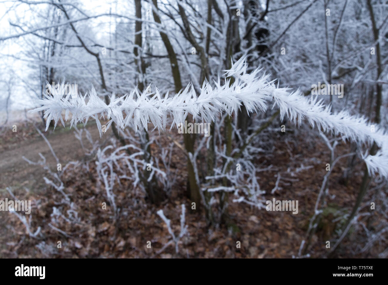 Beskydy mountains hi-res stock photography and images - Alamy