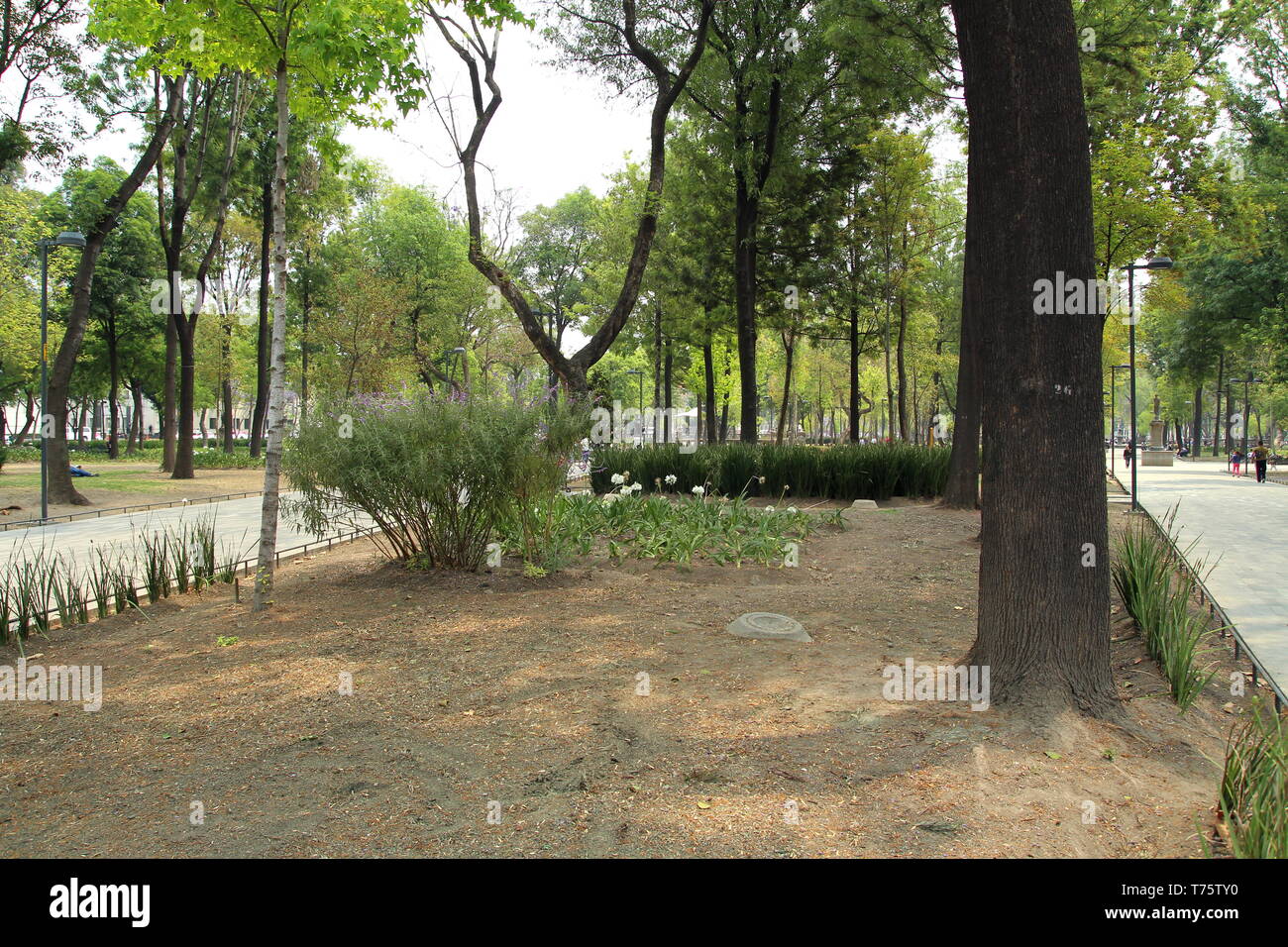 Alameda central park in Mexico city Stock Photo - Alamy