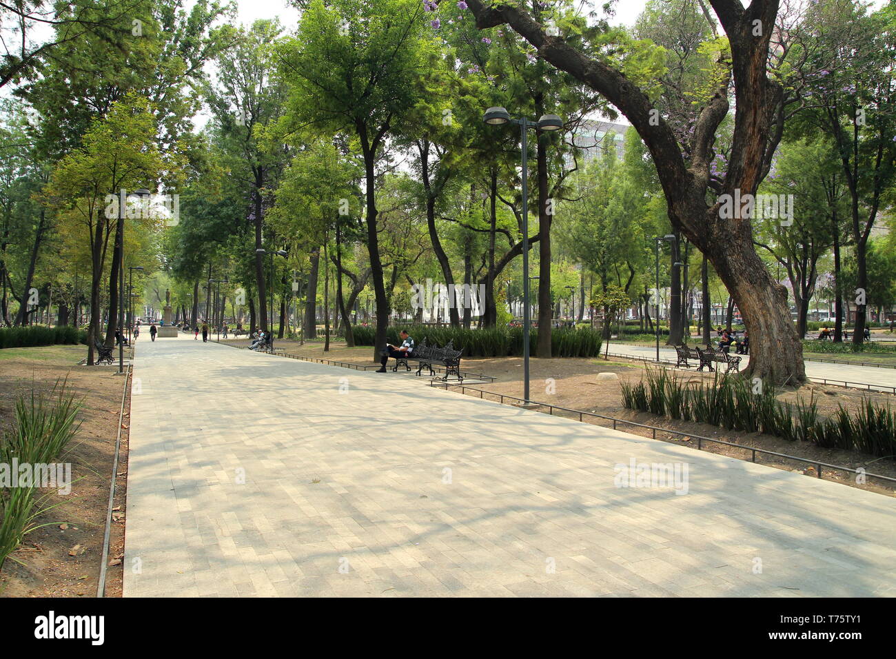 Alameda central park in Mexico city Stock Photo - Alamy Alameda central park in Mexico city Stock Photo - Alamy