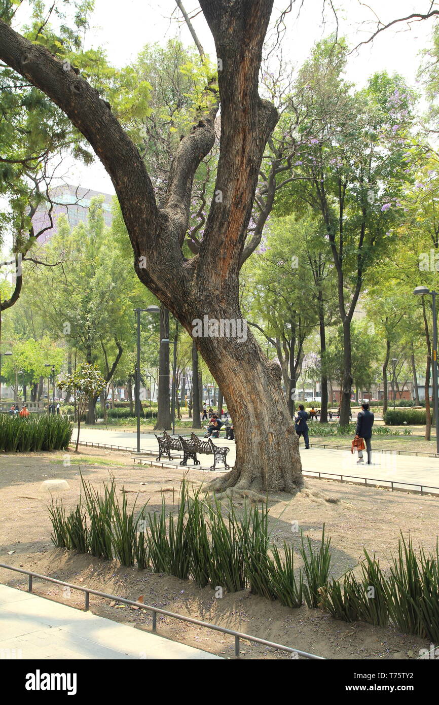 Alameda central park in Mexico city Stock Photo - Alamy