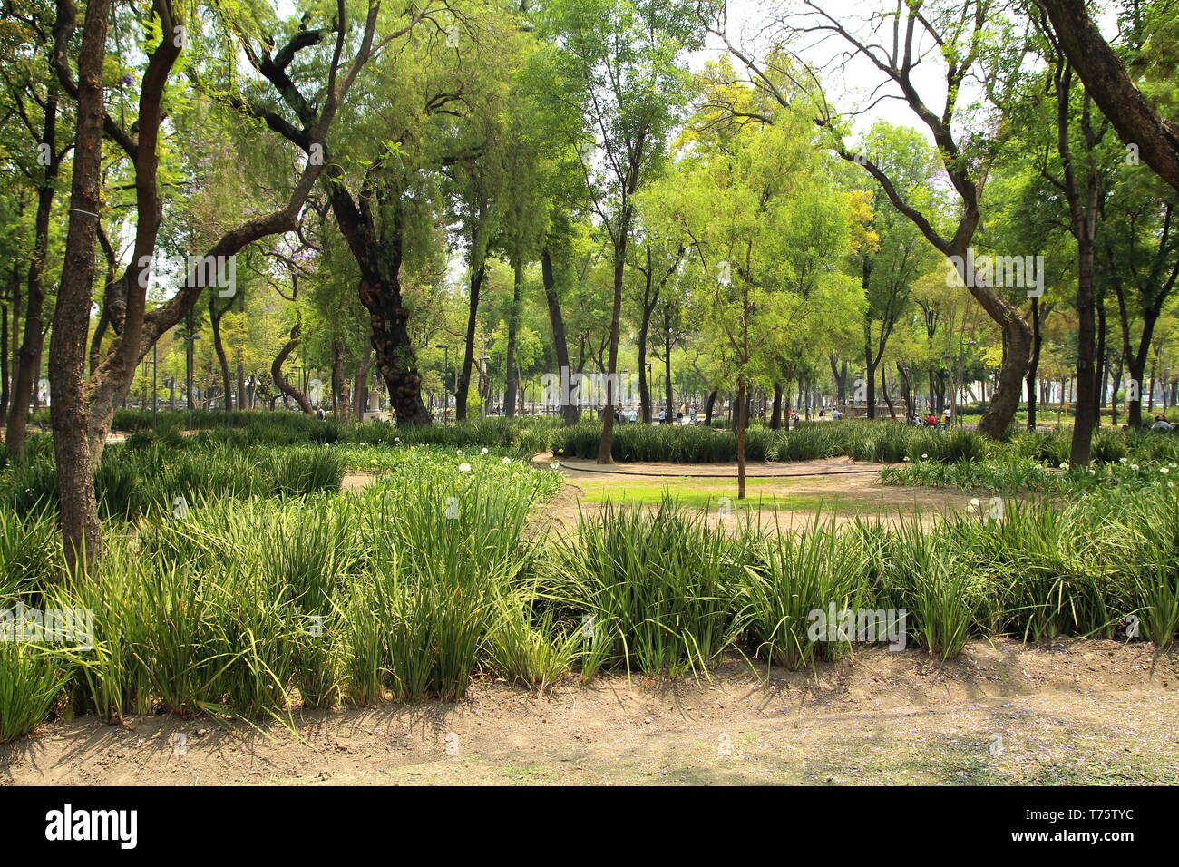 Alameda central park in Mexico city Stock Photo - Alamy