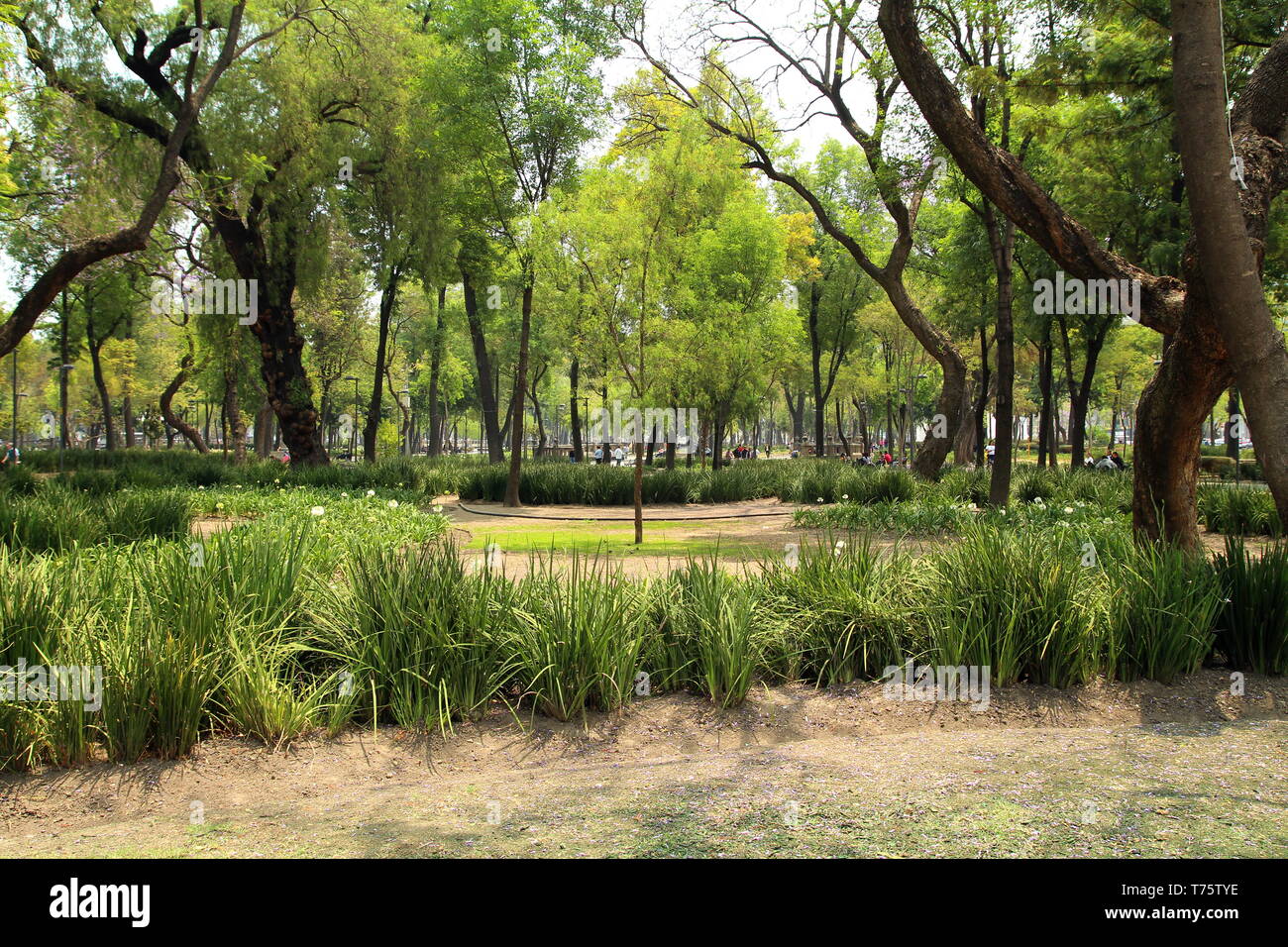Alameda central park in Mexico city Stock Photo - Alamy Alameda central park in Mexico city Stock Photo - Alamy